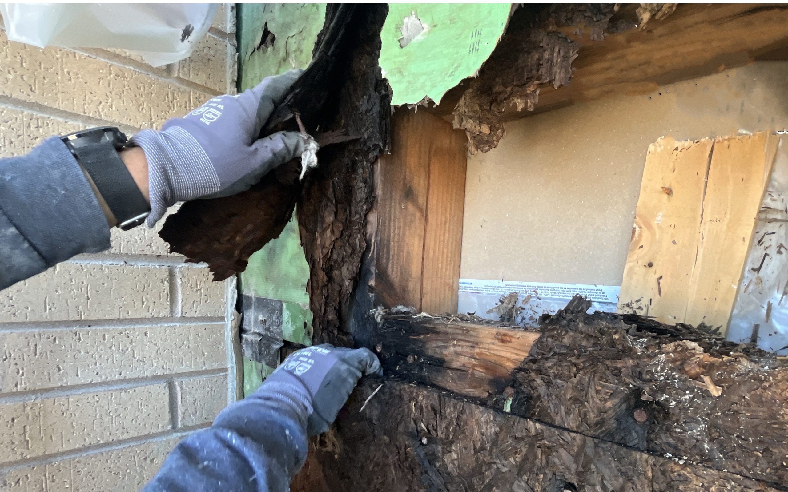 Elevation at County Line Destructive Testing | Building Investigation ...